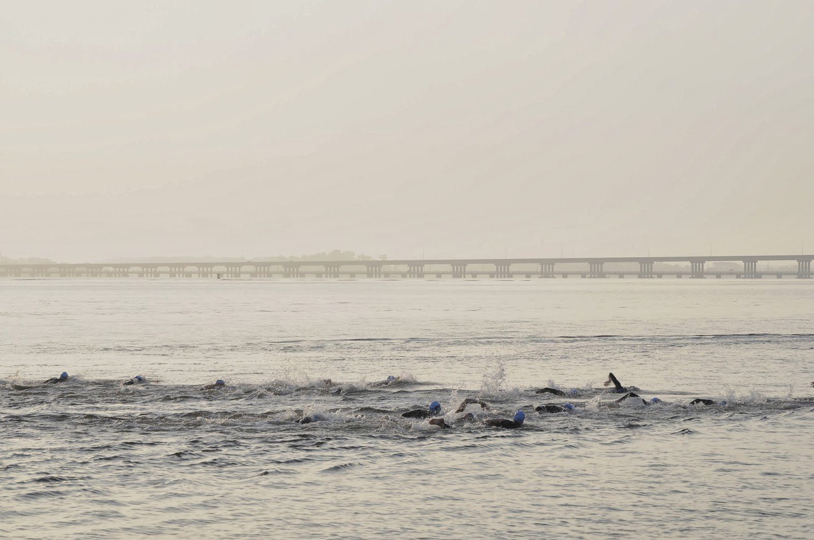 Tri The Choptank Bridge Swim – The Daily News of Open Water Swimming