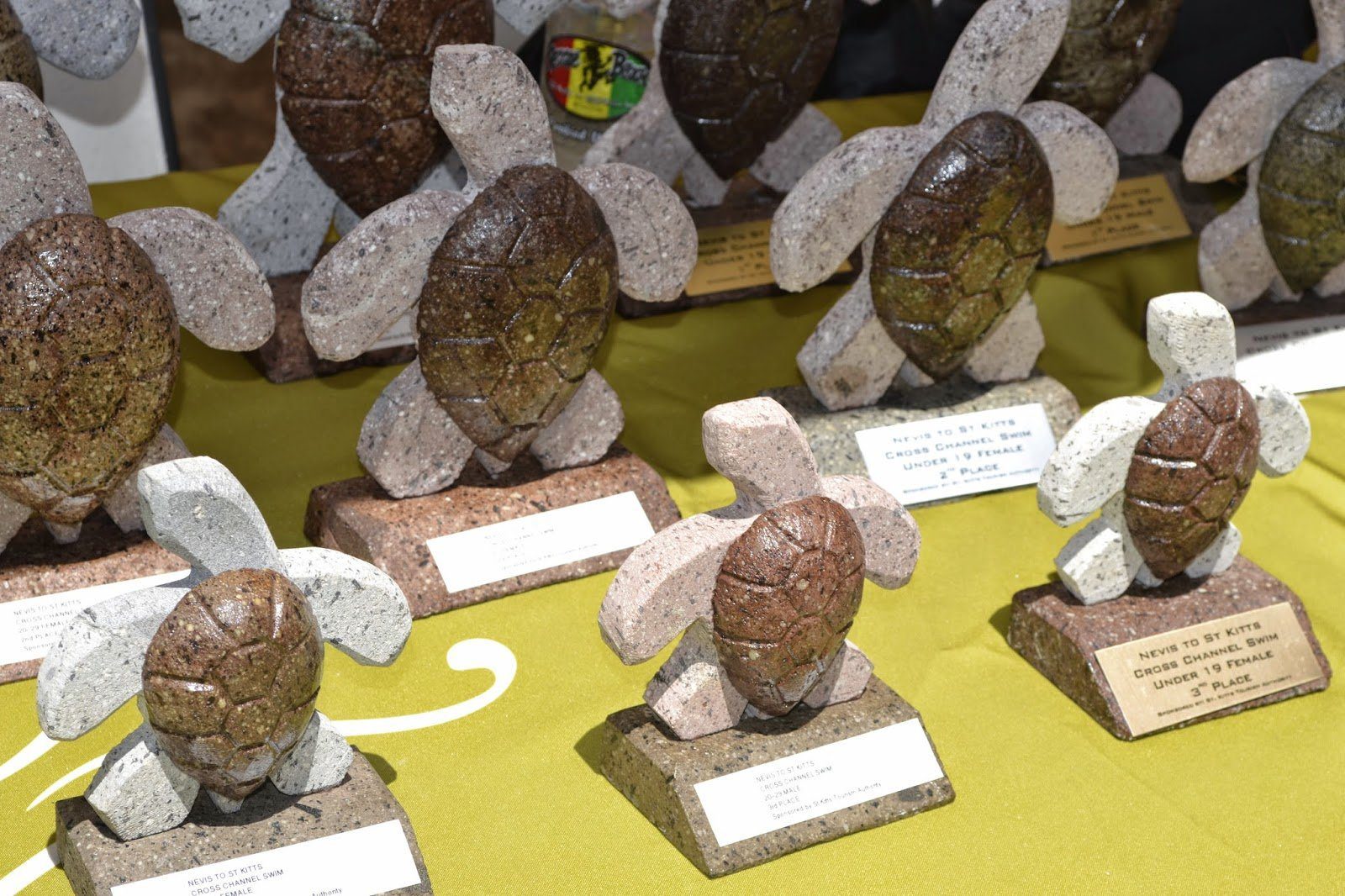 Turtle Trophies – Daily News of Open Water Swimming