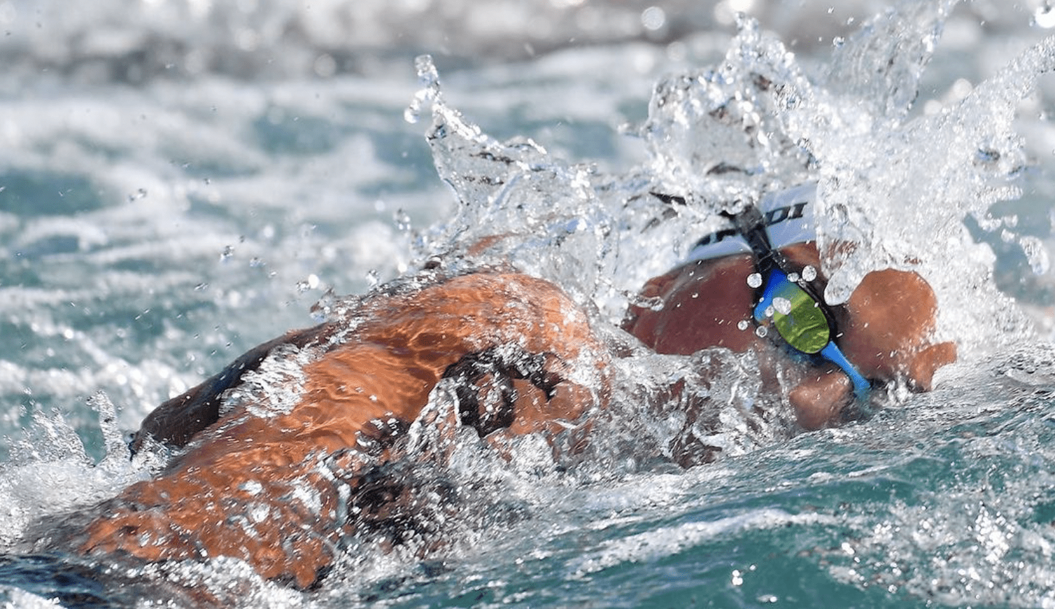 Arianna Bridi to be Inducted as an Honor Swimmer in the International ...