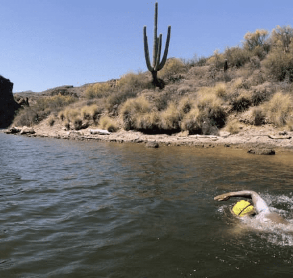 The History of Swimming 4 Long Days In SCAR – The Daily News of Open ...