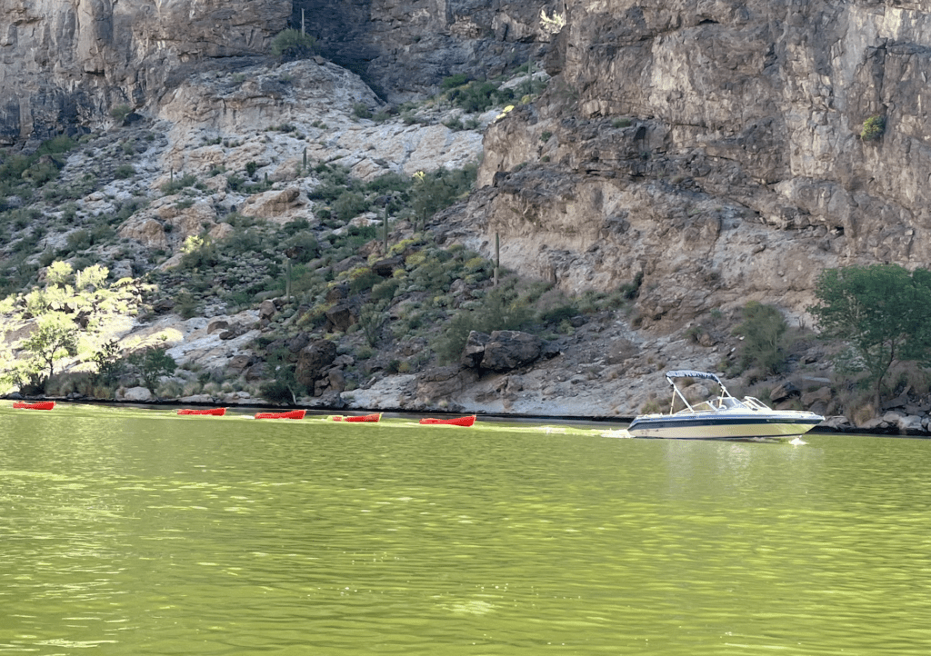 How He Does It – Kent Nicholas Daisy Chaining at the SCAR Swim – The ...