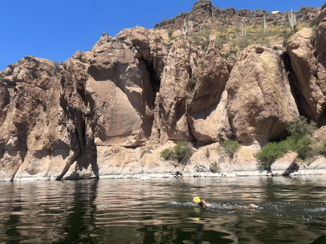 The History of Swimming 4 Long Days In SCAR – The Daily News of Open ...