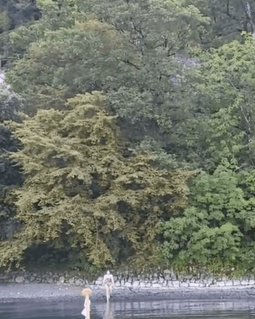 Samantha Farrow Breaks Female Lac Léman Crossing Record – Daily News of ...