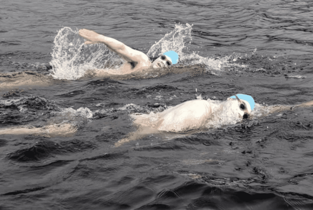 Joe Zemaitis Inducted as an Honor Swimmer in the International Marathon ...