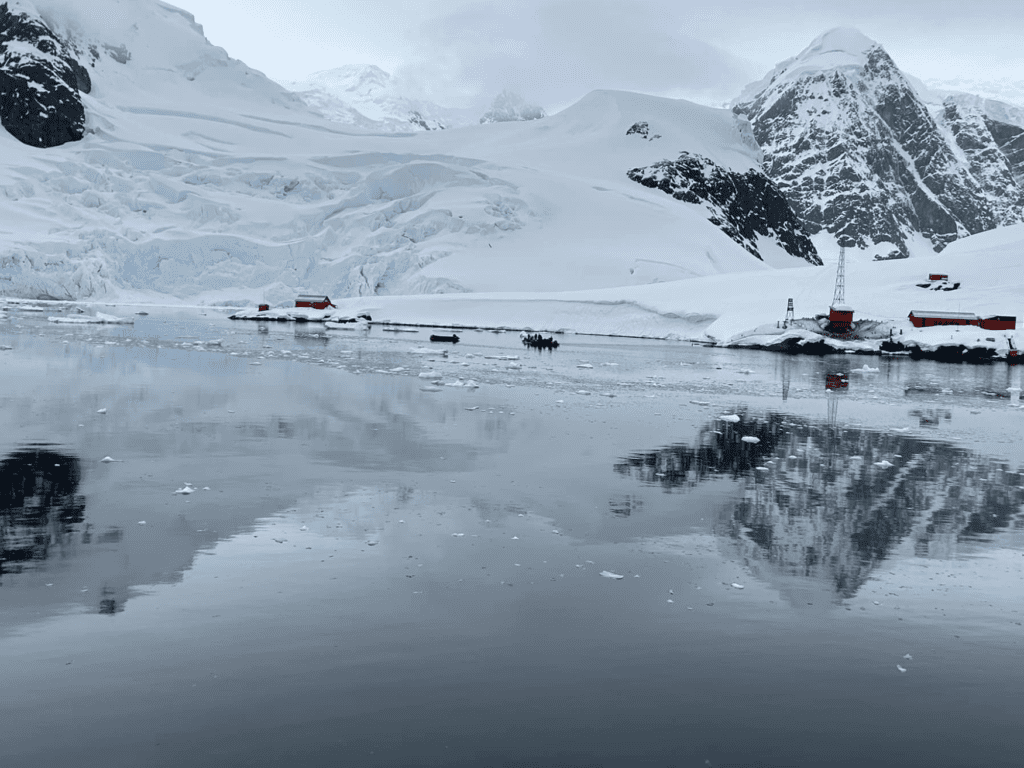 Ram Barkai Sets the Pace With Heart at the Antarctica Ice Swimming ...