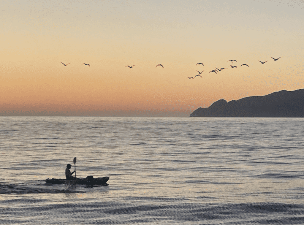 So Much More To Swimming Beyond The Black Line With Rob Woodhouse ...